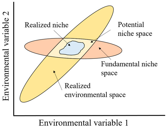 Negotiating a Fragmented World: What Do We Know, How Do We Know It, and ...