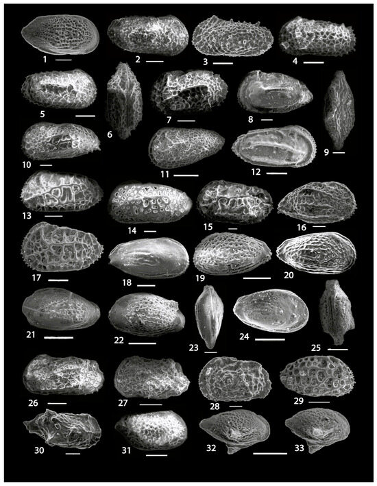 Biostratigraphy, Paleoenvironments, and Paleobiogeography of the Middle ...