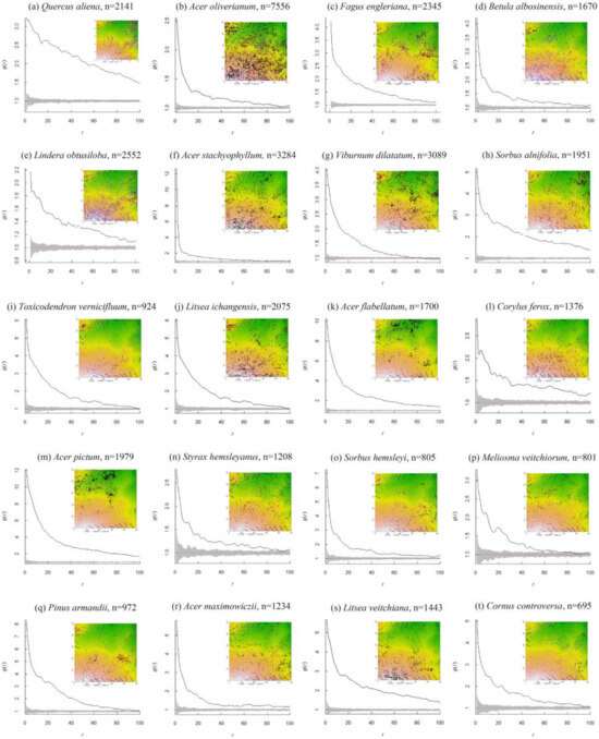 Spatial Distribution and Intraspecific and Interspecific Associations of Dominant Tree Species ...