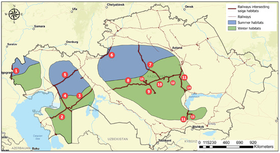 Railway and Road Infrastructure in Saiga Antelope Range in Kazakhstan