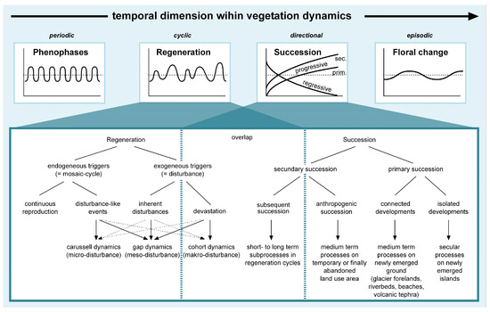Vegetation Changes in Space and Time—A Special Issue on Plant ...