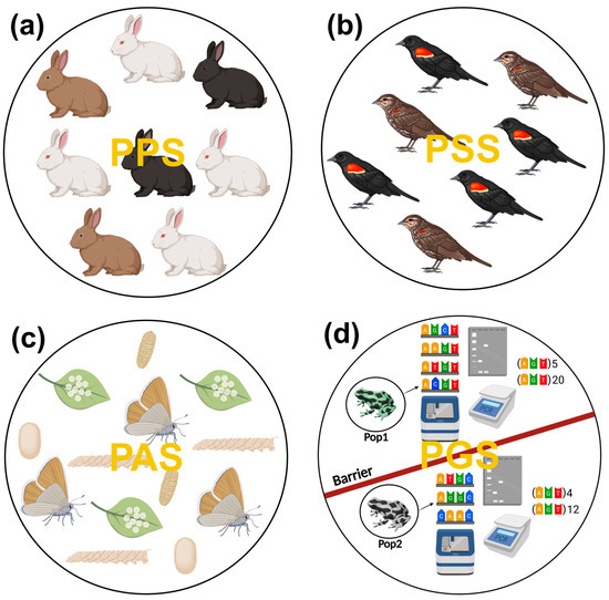Population Genetic Structure: Where, What, and Why?