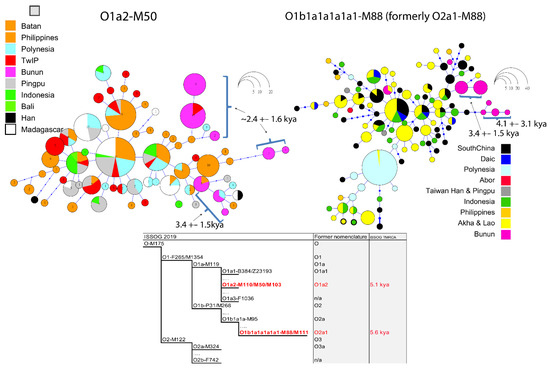 DNA | An Open Access Journal from MDPI