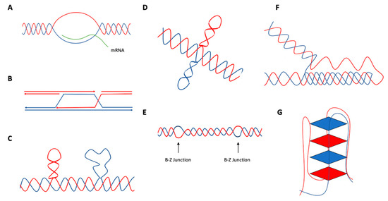 DNA | An Open Access Journal from MDPI
