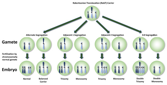 DNA | Free Full-Text | PGT-SR: A Comprehensive Overview and a Requiem ...