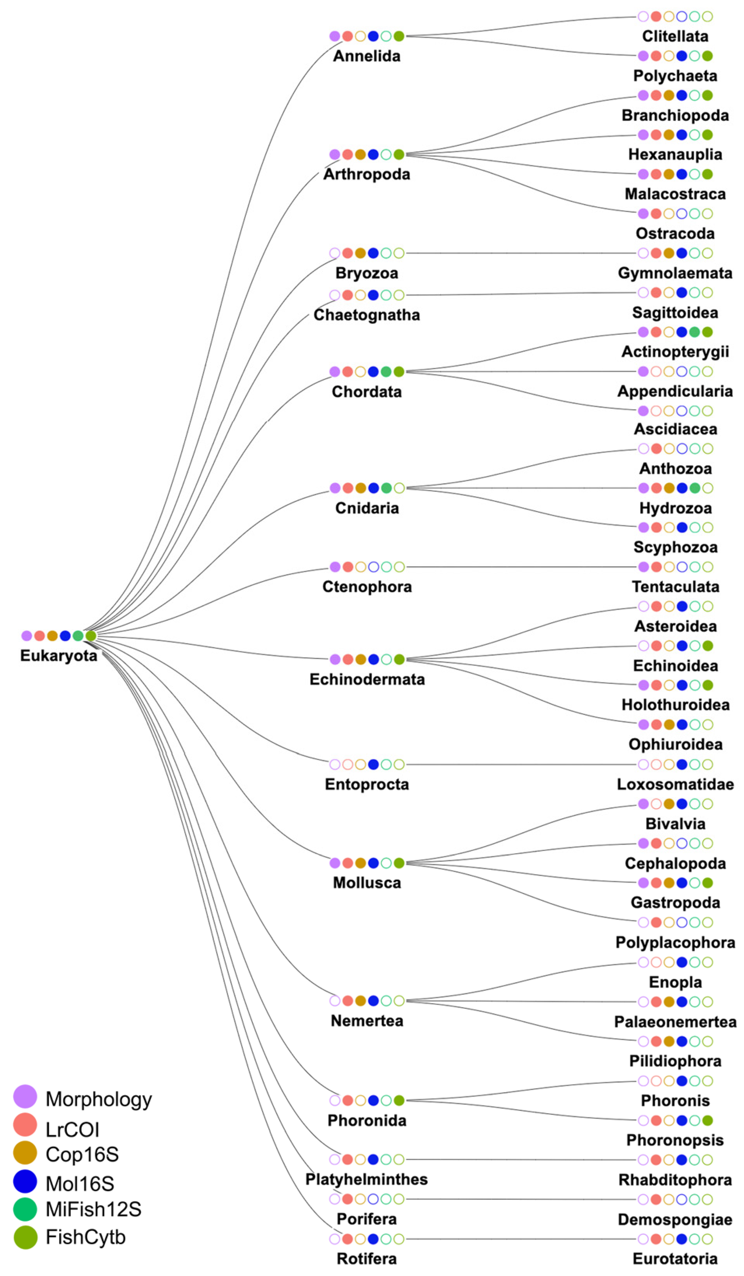 DNA | Free Full-Text | Evaluating Metabarcoding Markers for Identifying Zooplankton and ...