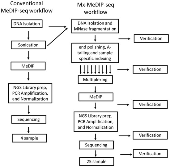 Multiplexed Methylated DNA Immunoprecipitation Sequencing (Mx-MeDIP-Seq ...