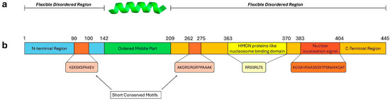 Captain Tardigrade and Its Shield to Protect DNA