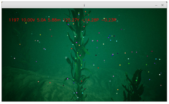 A Generalized Simulation Framework for Tethered Remotely Operated ...