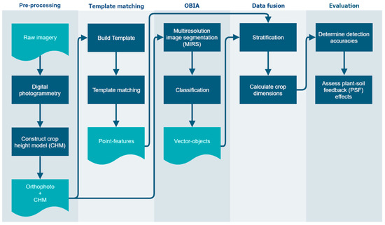 Drones | Special Issue : UAV/Drones for Agriculture and Forestry