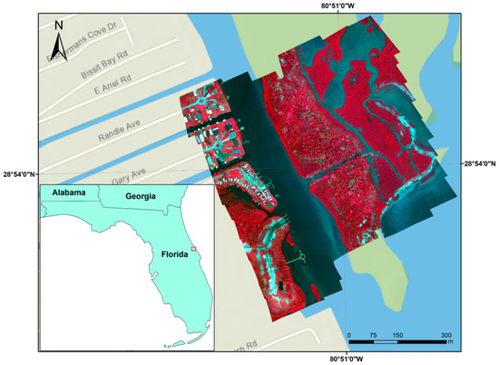 Using Object-Oriented Classification for Coastal Management in the East ...