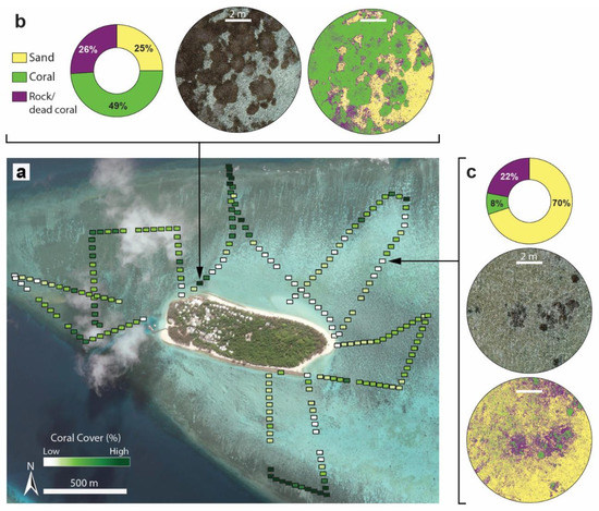 Automating Drone Image Processing to Map Coral Reef Substrates Using ...