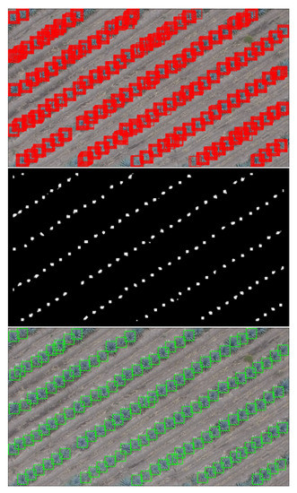 Automated Agave Detection and Counting Using a Convolutional Neural Network and Unmanned Aerial ...