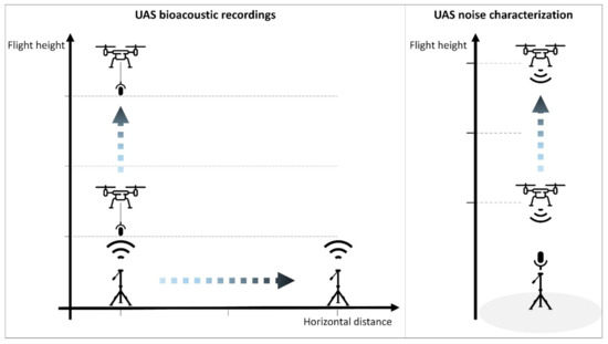 Ears in the Sky: Potential of Drones for the Bioacoustic Monitoring of ...