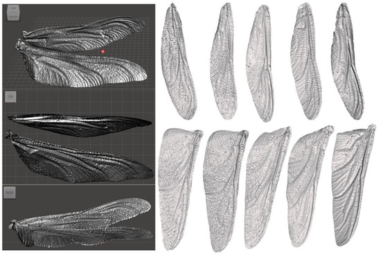 Biomimetic Drones Inspired by Dragonflies Will Require a Systems Based ...