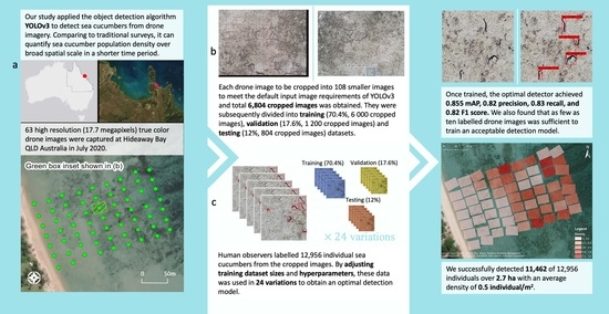 Drones | Free Full-Text | SeeCucumbers: Using Deep Learning and Drone ...