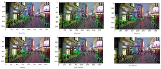 Multiscale Object Detection from Drone Imagery Using Ensemble Transfer Learning