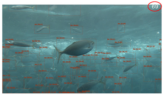 Drones | Free Full-Text | A Visual Aquaculture System Using a Cloud ...