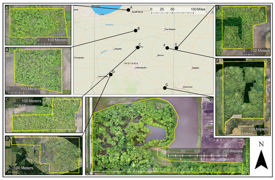 Precise Quantification of Land Cover before and after Planned ...