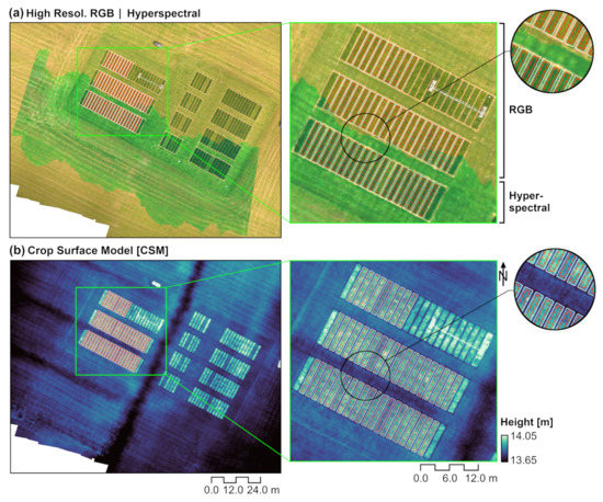 Quantification of Grassland Biomass and Nitrogen Content through UAV ...