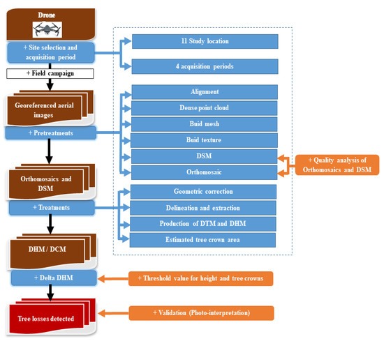 Detection of Forest Tree Losses in Côte d’Ivoire Using Drone Aerial Images