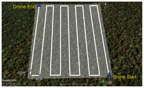 Detection of Forest Tree Losses in Côte d’Ivoire Using Drone Aerial Images