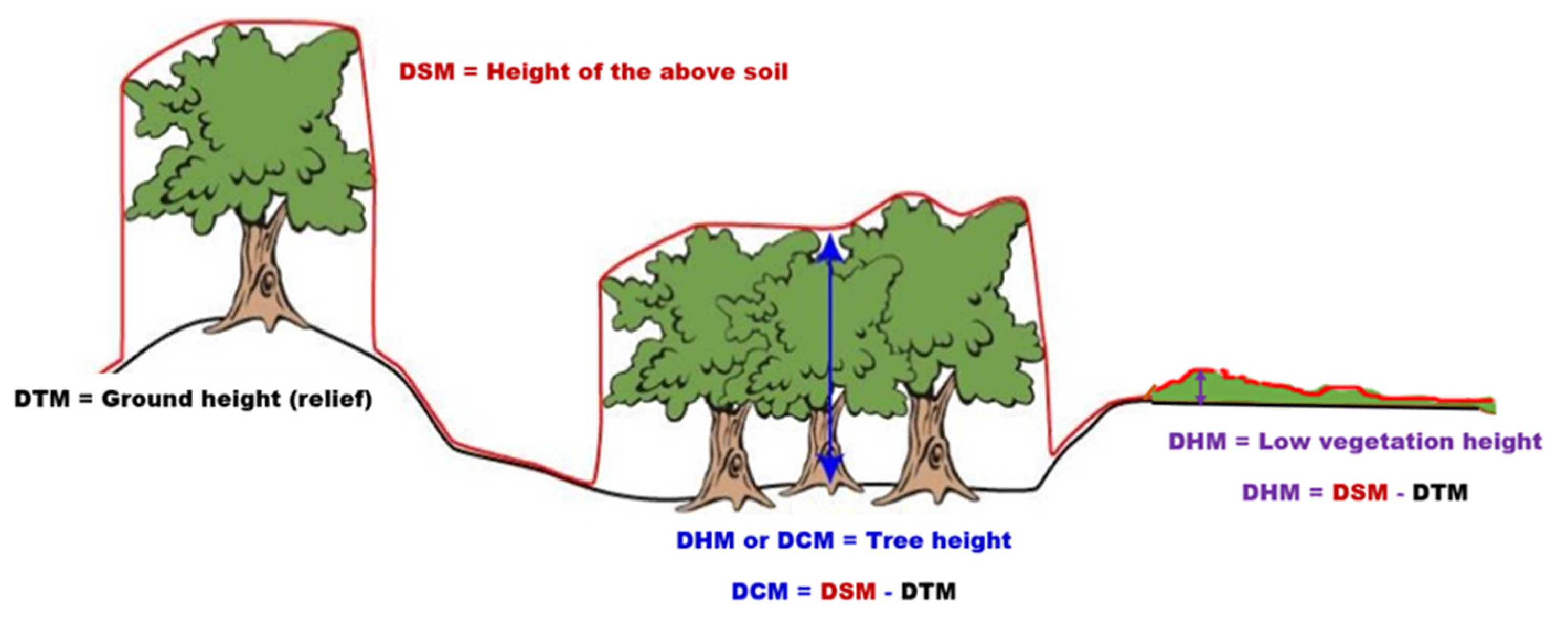 Detection of Forest Tree Losses in Côte d’Ivoire Using Drone Aerial Images