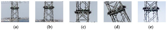 Design and Implementation of UAVs for Bird’s Nest Inspection on ...