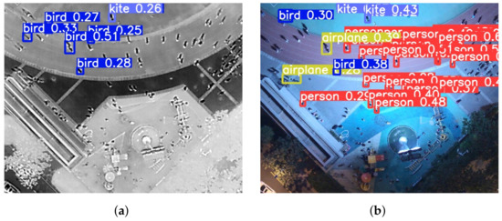 A Human-Detection Method Based on YOLOv5 and Transfer Learning Using Thermal Image Data from UAV ...