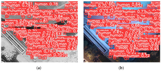 A Human-Detection Method Based on YOLOv5 and Transfer Learning Using Thermal Image Data from UAV ...