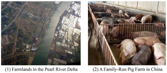 Smart Decision-Support System for Pig Farming