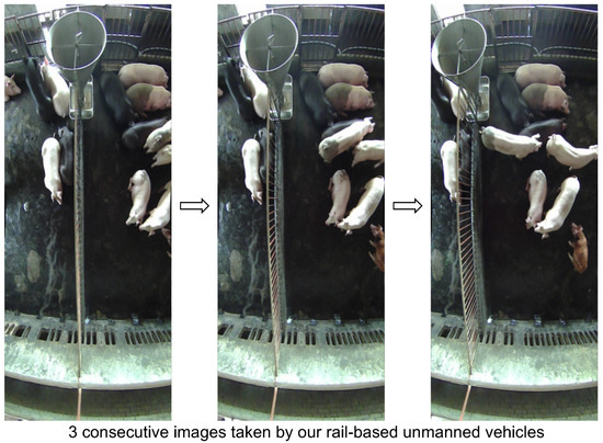 Smart Decision-Support System for Pig Farming