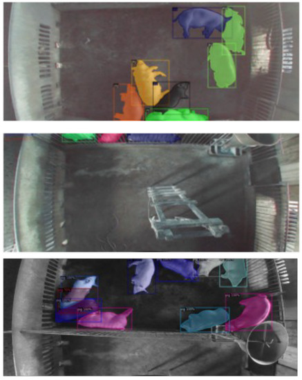 Smart Decision-Support System for Pig Farming