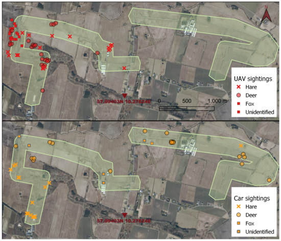 Using Drones with Thermal Imaging to Estimate Population Counts of European Hare (Lepus ...