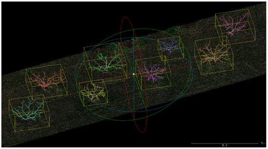 Tree Branch Skeleton Extraction from Drone-Based Photogrammetric Point Cloud
