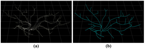 Tree Branch Skeleton Extraction from Drone-Based Photogrammetric Point Cloud