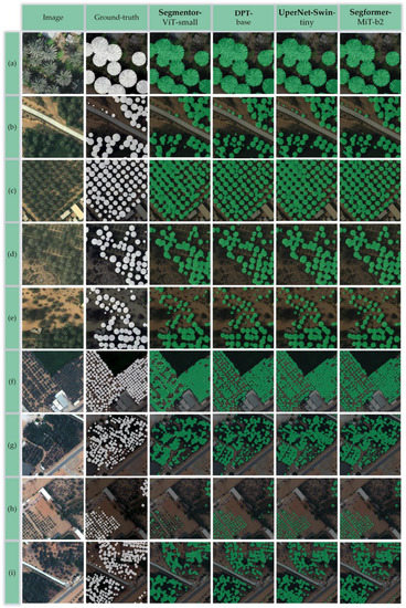 Large-Scale Date Palm Tree Segmentation from Multiscale UAV-Based and Aerial Images Using Deep ...