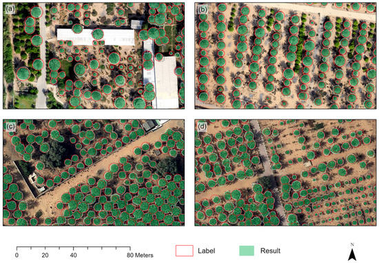 Large-Scale Date Palm Tree Segmentation from Multiscale UAV-Based and Aerial Images Using Deep ...