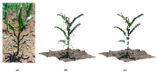 Drones | Free Full-Text | Structural Component Phenotypic Traits from ...