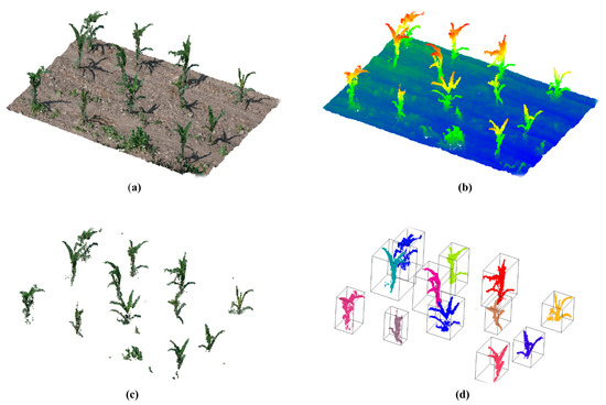 Drones | Free Full-Text | Structural Component Phenotypic Traits from ...