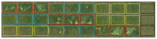 Wheat Lodging Segmentation Based on Lstm_PSPNet Deep Learning Network