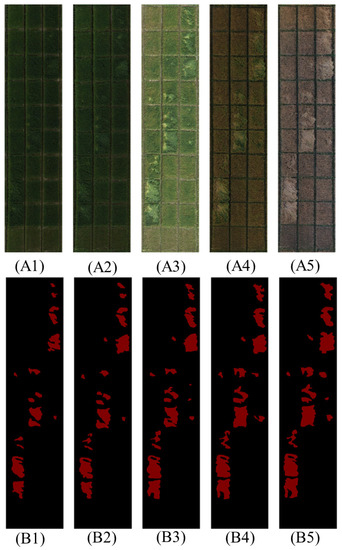 Wheat Lodging Segmentation Based on Lstm_PSPNet Deep Learning Network