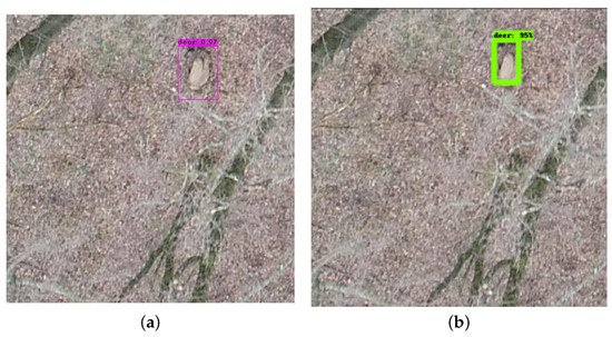 Animal Detection and Counting from UAV Images Using Convolutional ...
