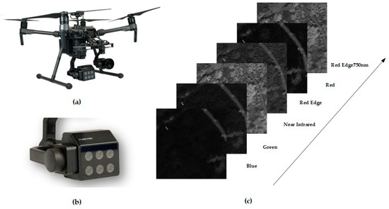 Deep Learning-Based Pine Nematode Trees’ Identification Using Multispectral and Visible UAV Imagery