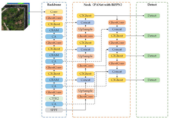 Deep Learning-Based Pine Nematode Trees’ Identification Using ...