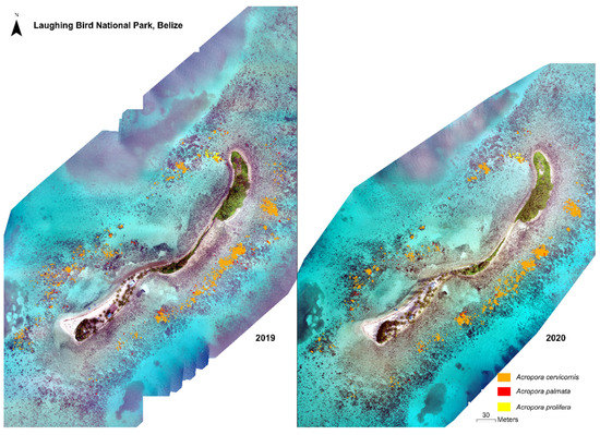 The Use of Unoccupied Aerial Systems (UASs) for Quantifying Shallow ...
