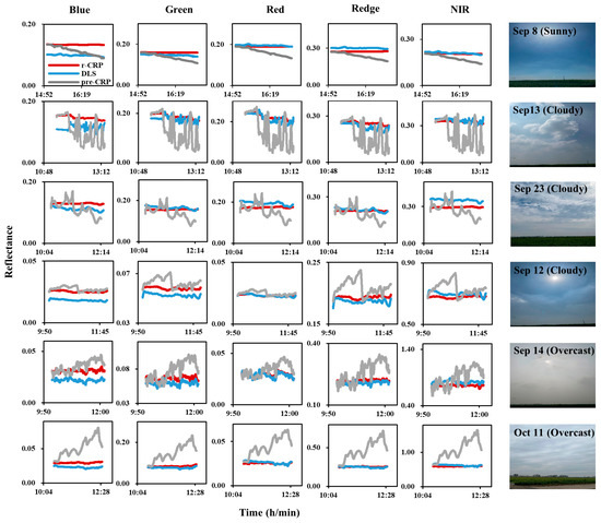 Radiometric Correction of Multispectral Field Images Captured under ...