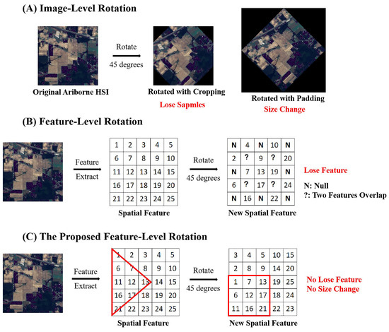 Spectral-Spatial Attention Rotation-Invariant Classification Network for Airborne Hyperspectral ...