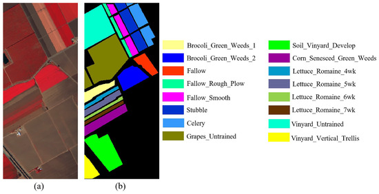Spectral-Spatial Attention Rotation-Invariant Classification Network for Airborne Hyperspectral ...