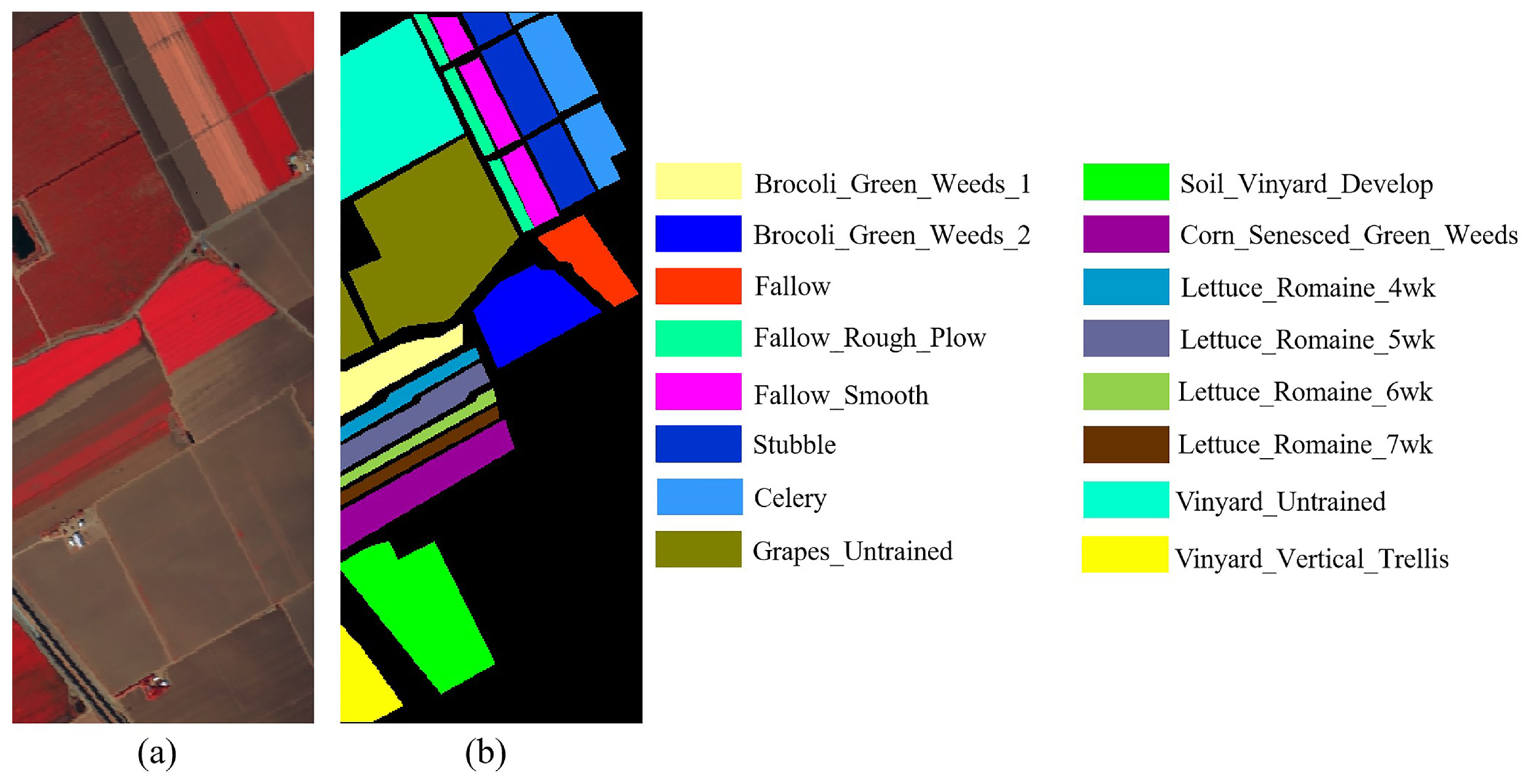 Spectral-Spatial Attention Rotation-Invariant Classification Network for Airborne Hyperspectral ...